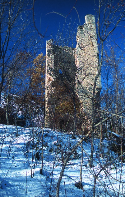 LA TORRE DEL COLLE | I Luoghi del Cuore - FAI