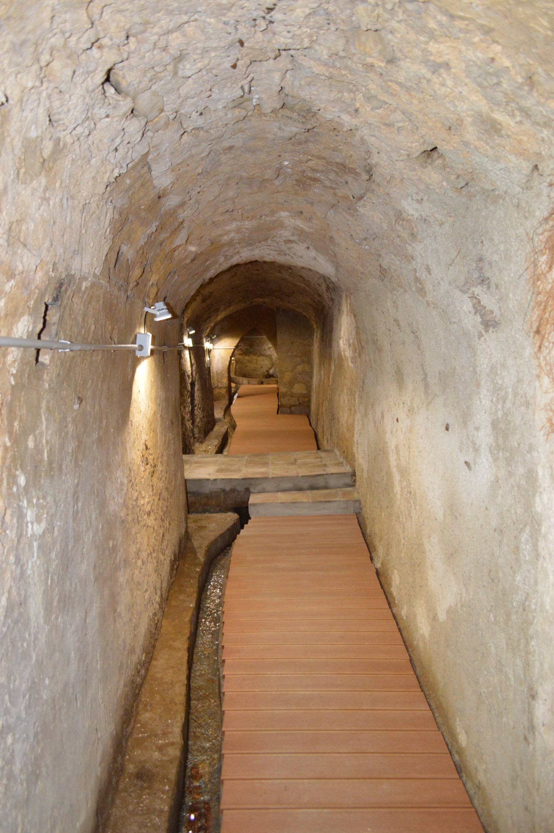 BOTTINI | I Luoghi del Cuore - FAI