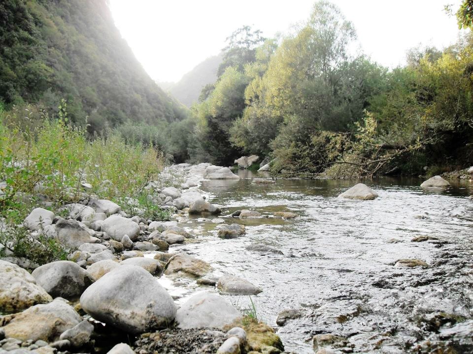 FIUME MELANDRO (GOLE MELANDRINE, VALLONE DEL TUORNO) | I Luoghi del ...