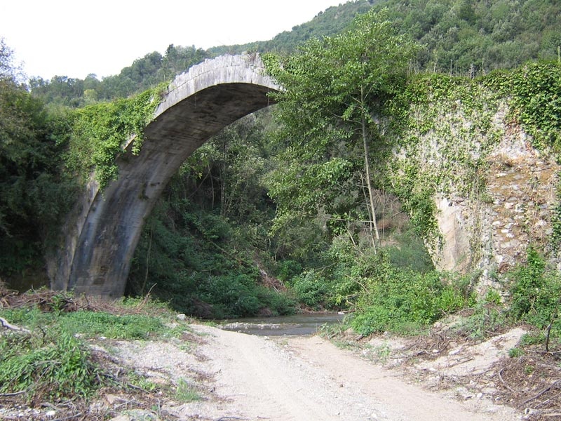 PONTE ROMANO (131-121 A.C.) SUL FIUME SAVUTO TRA I COMUNI DI ALTILIA E ...