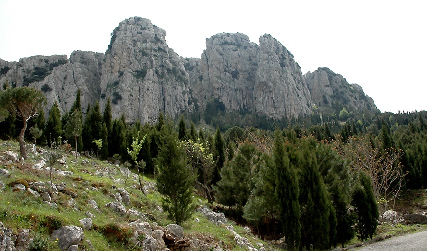DOLOMITI DEL SUD - CANOLO - | I Luoghi del Cuore - FAI