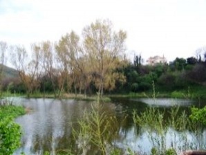 PARCO FLUVIALE DELL'IRNO | I Luoghi del Cuore - FAI