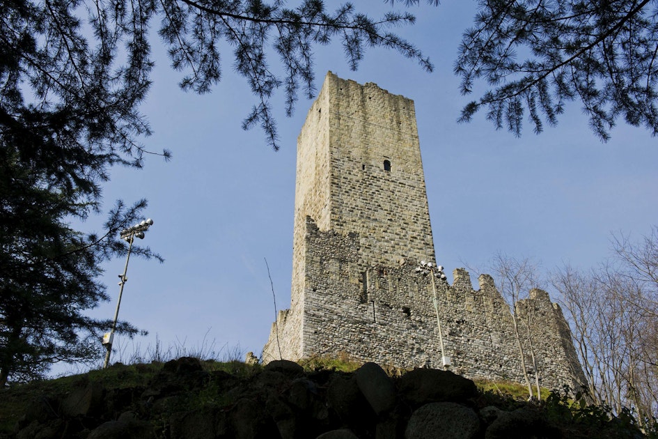 Riduzione 30% per PARCO SPINA VERDE E CASTEL BARADELLO