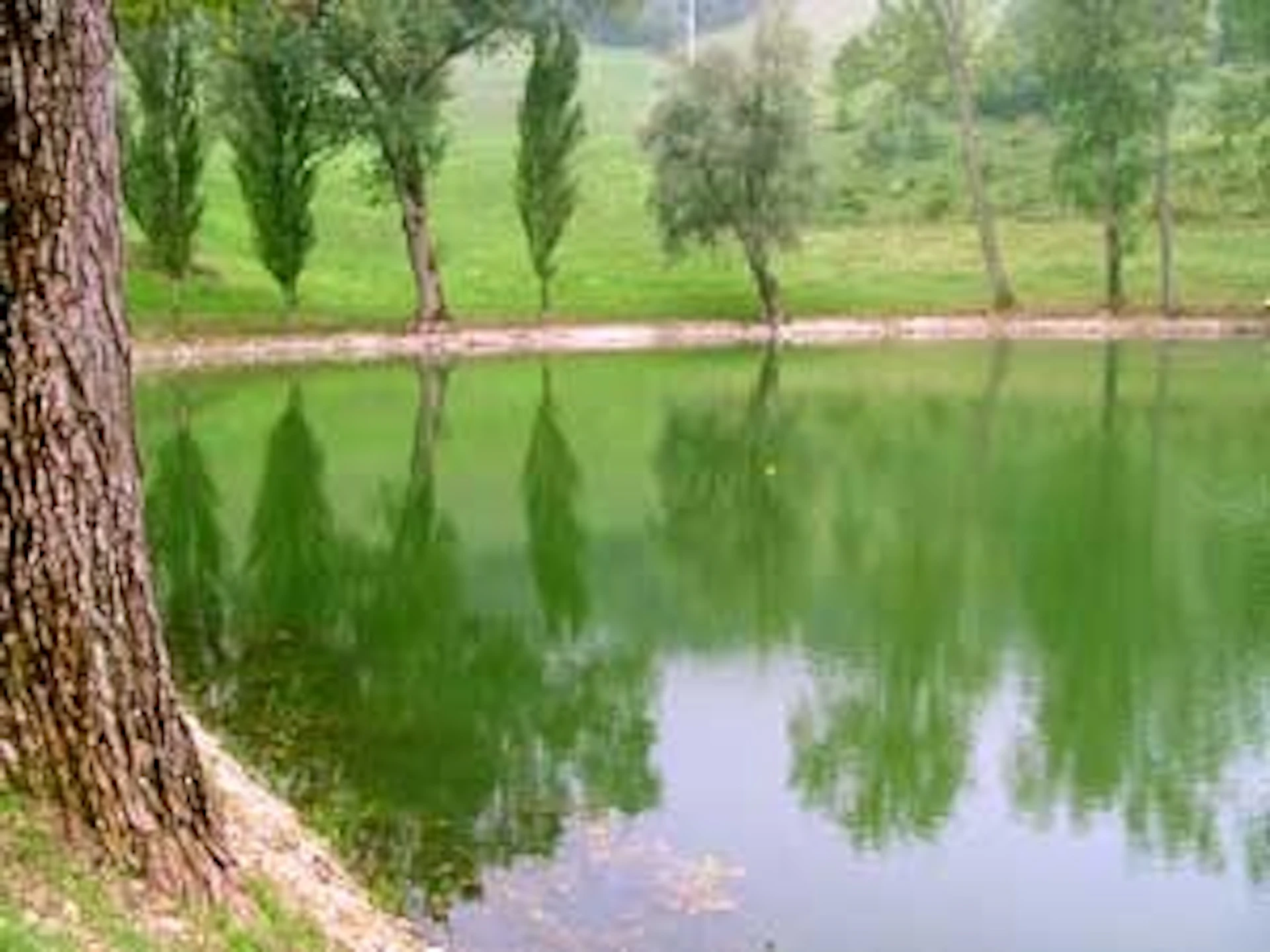LAGHETTO DI VARSI E VAL CENO | I Luoghi del Cuore - FAI