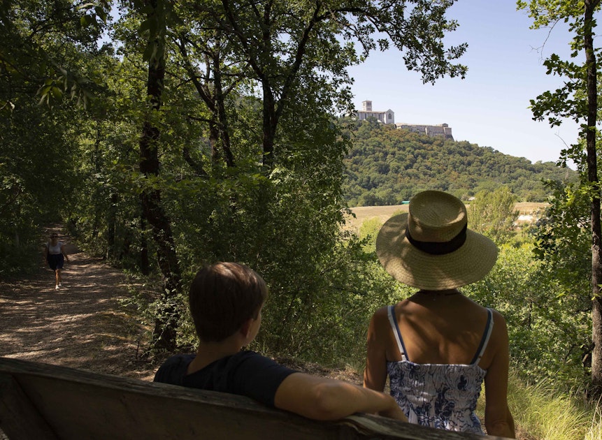 Passeggiata fra gli ulivi patrimonio dell’Umbria | Evento FAI