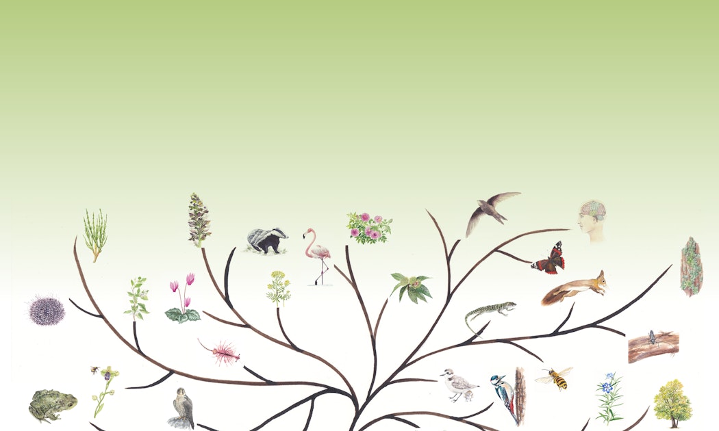 Quel versante del fiume Basento | Evento FAI