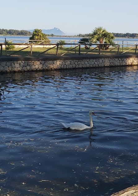 FAI BIRDWATCHING CON NOI AL PARCO NAZIONALE DEL CIRCEO NEL BORGO DI ...