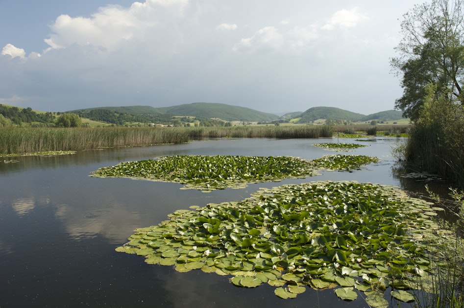 Sessione di Yoga immersi nella natura della Palude di Colfiorito ...
