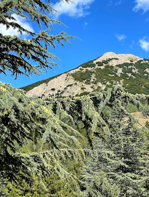 SENTIERO GEOLOGICO “Battaglietta – Portella Colla” | Evento FAI