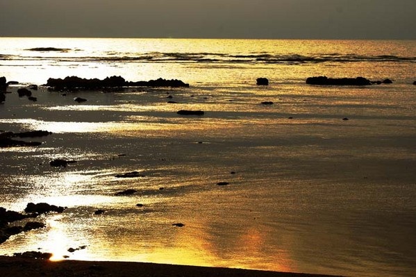 SPIAGGIA E PINETA IN LOC. LA FRASCA | I Luoghi del Cuore - FAI