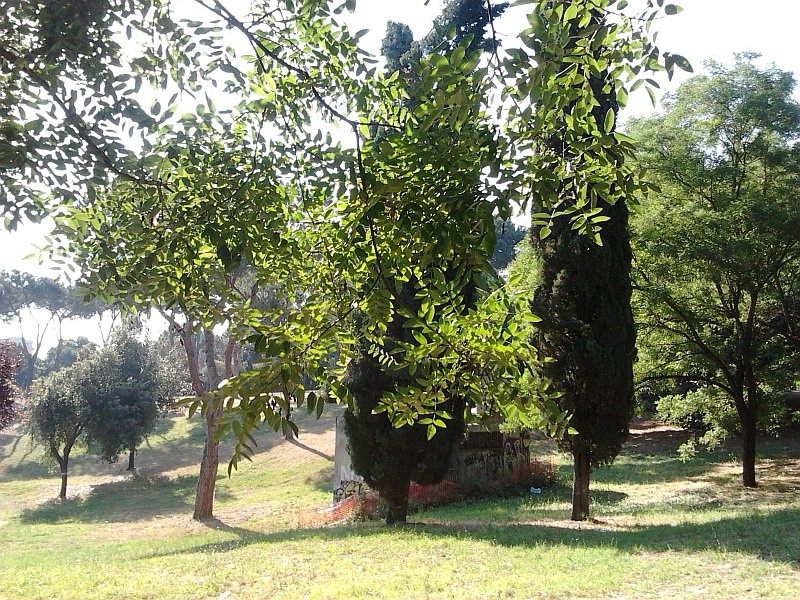 PARCO DI LABARO COLLI D'ORO - ROMA | I Luoghi del Cuore - FAI