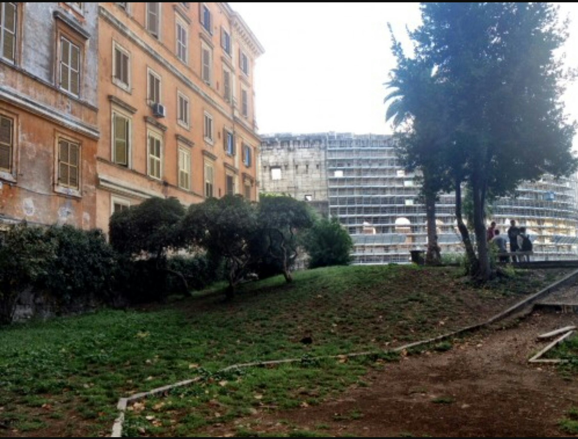 PARCO DEL COLLE OPPIO | I Luoghi del Cuore - FAI