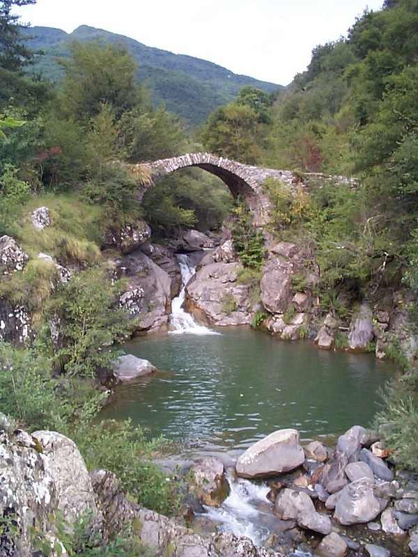 LAGHETTO DI REZZO | I Luoghi del Cuore - FAI