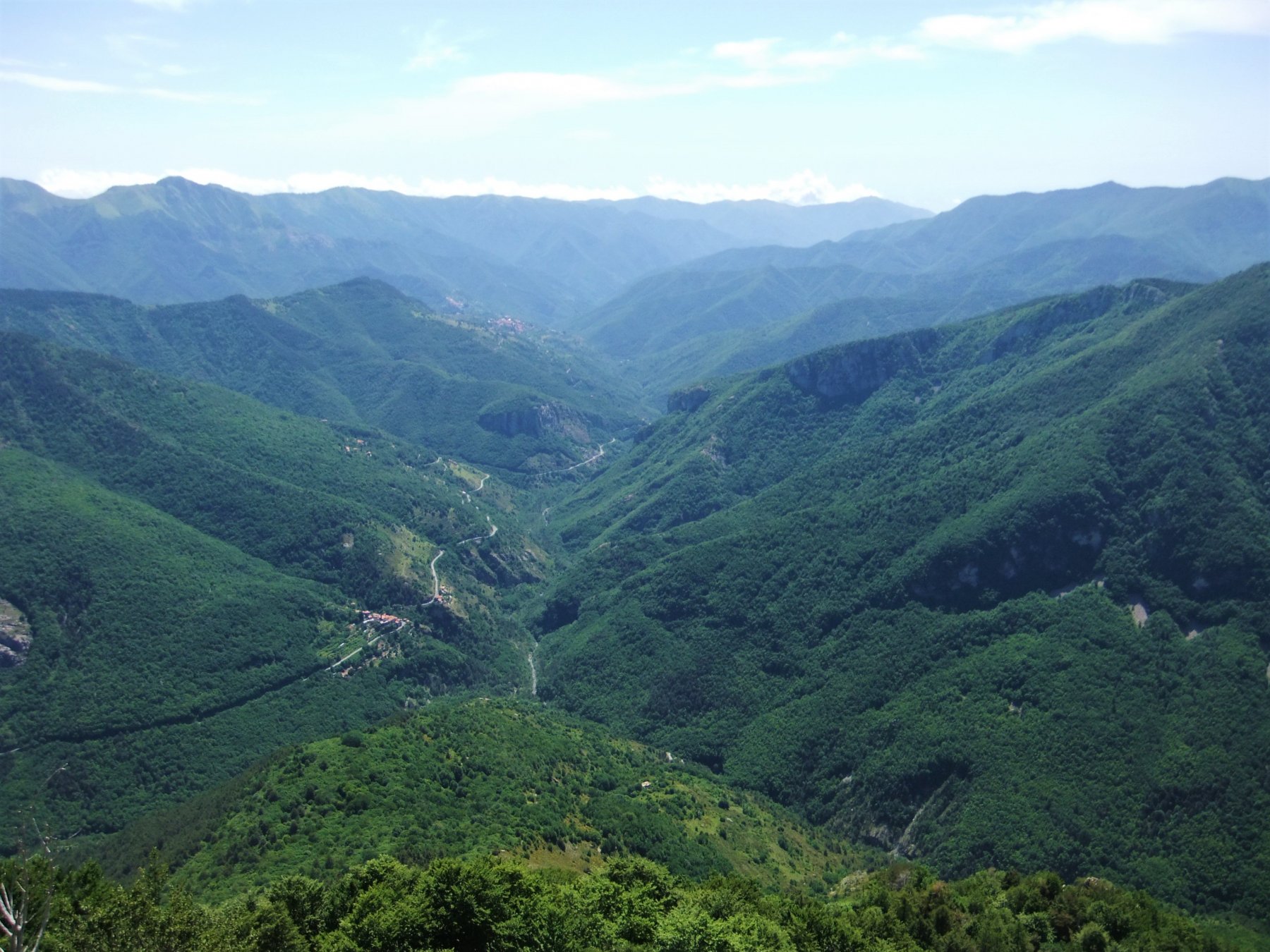 FORESTA DI GERBONTE | I Luoghi del Cuore - FAI