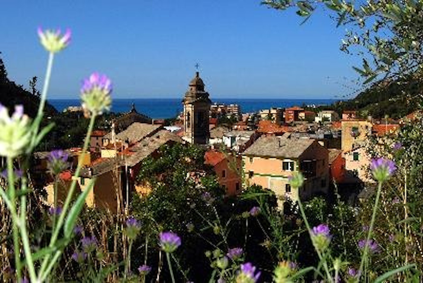 CENTRO STORICO DI DEIVA MARINA | I Luoghi del Cuore - FAI