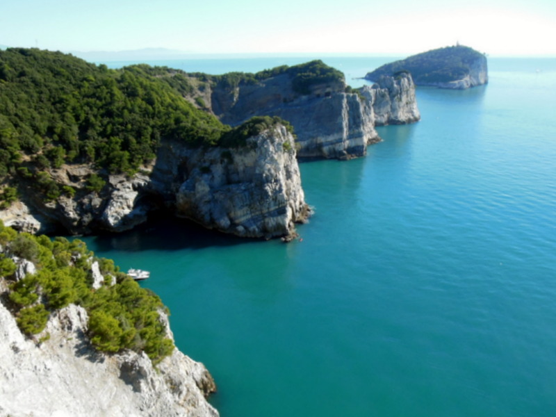 ISOLA DI PALMARIA | I Luoghi del Cuore - FAI