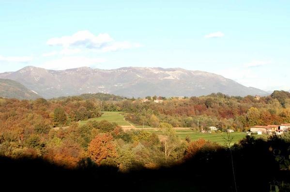 PARCO DI MONTEVECCHIA E DELLA VALLE DEL CURONE | I Luoghi del Cuore - FAI