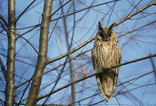 PARCO DEL ROCCOLO | I Luoghi del Cuore - FAI