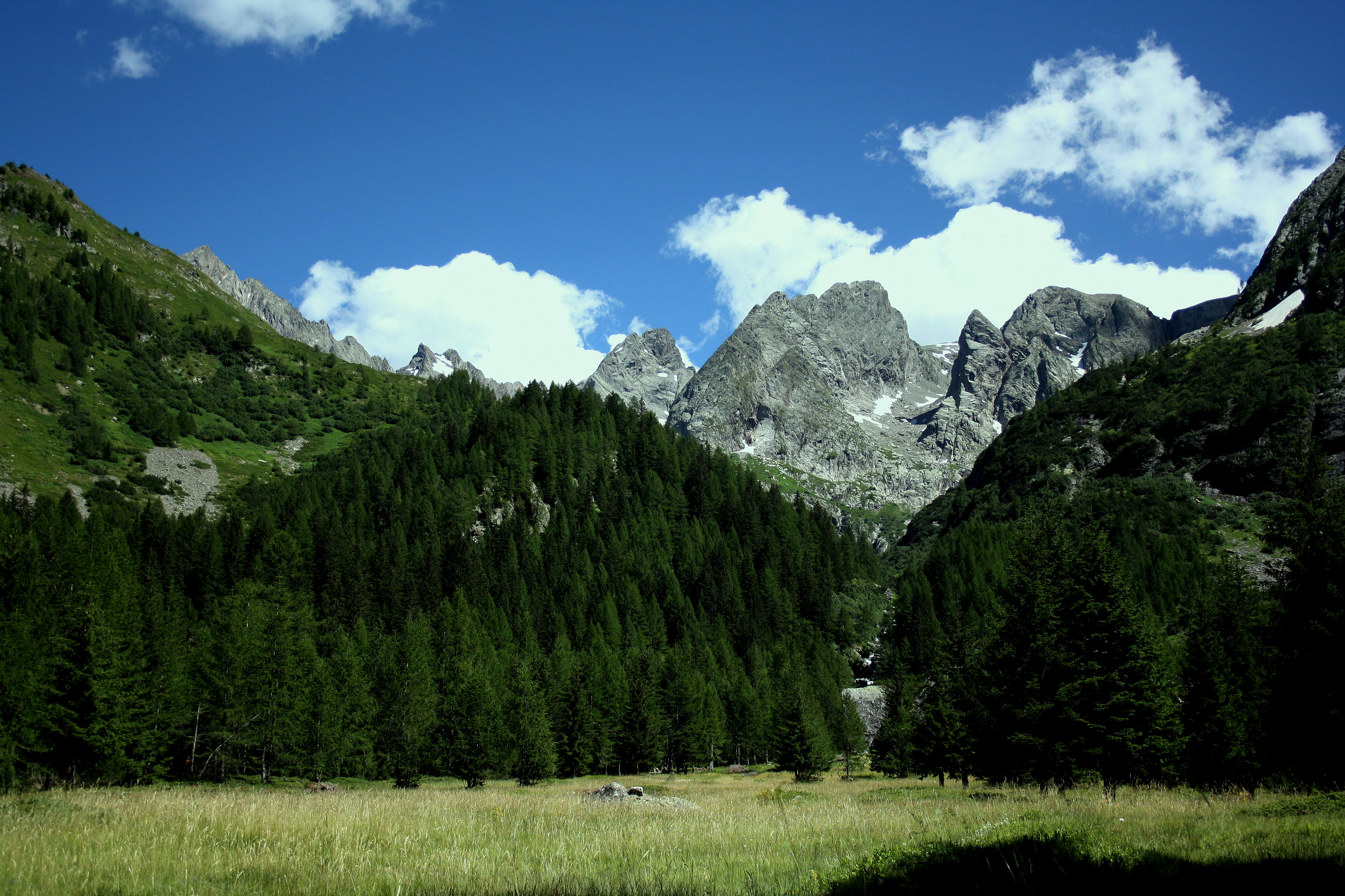 VALLE DI SCAIS | I Luoghi del Cuore - FAI