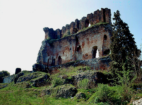 CASTELLO DI VILLAFALLETTO | I Luoghi del Cuore - FAI