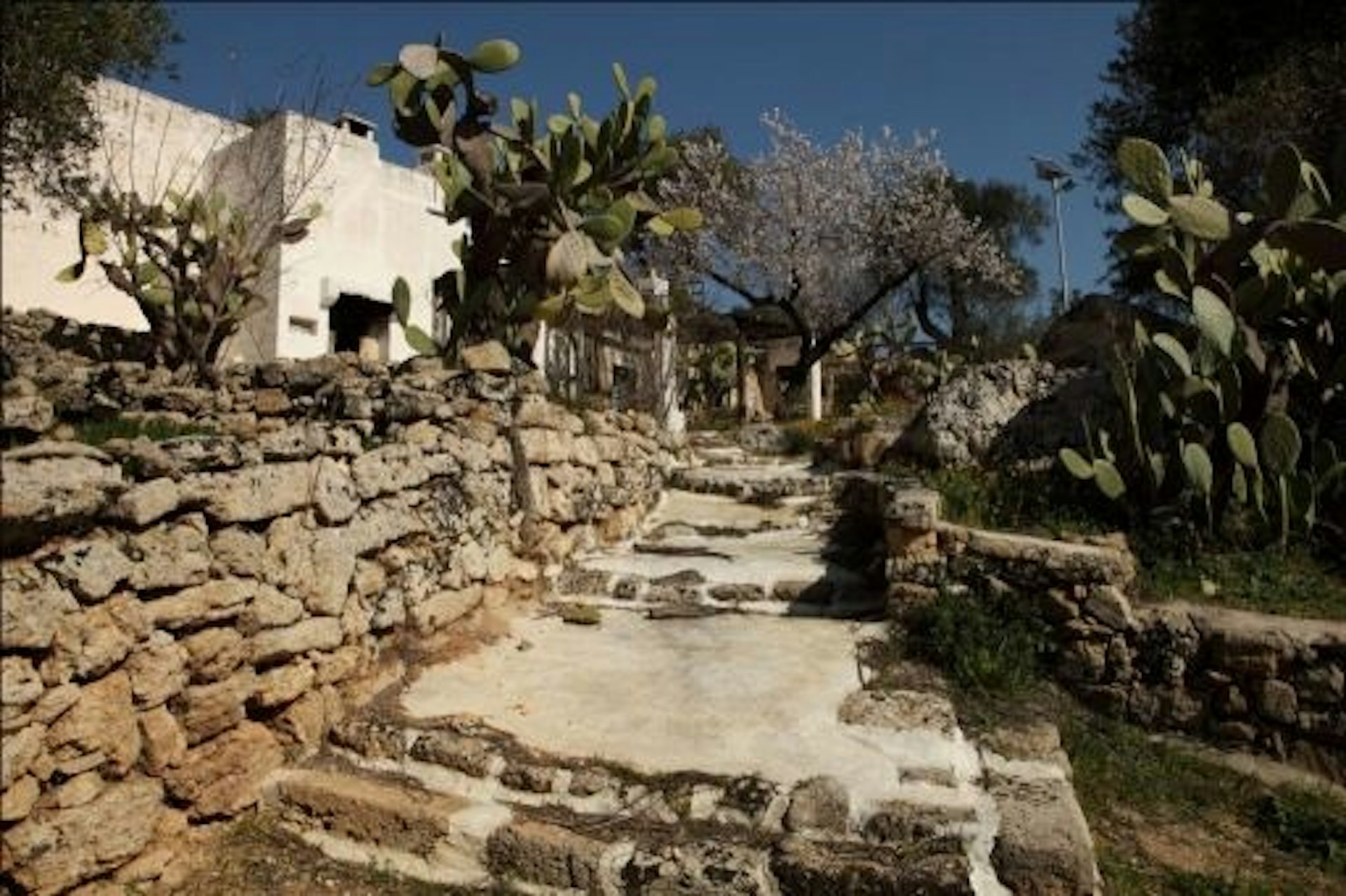 PARCO ARCHEOLOGICO DI PARABITA | I Luoghi del Cuore - FAI