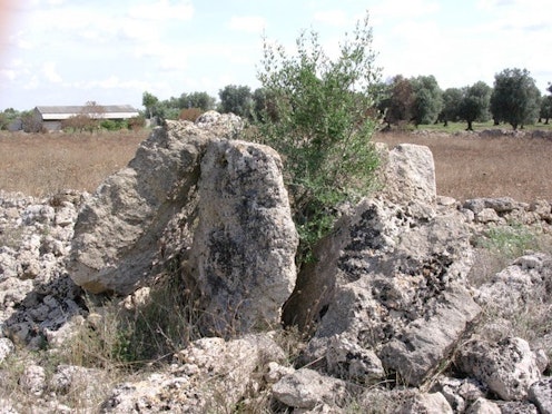 SPIAGGIA DI RACALE | I Luoghi del Cuore - FAI