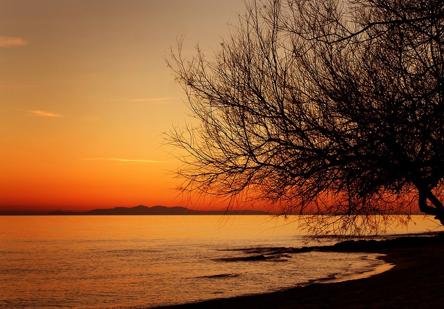 LITORANEA SALENTINA | I Luoghi del Cuore - FAI