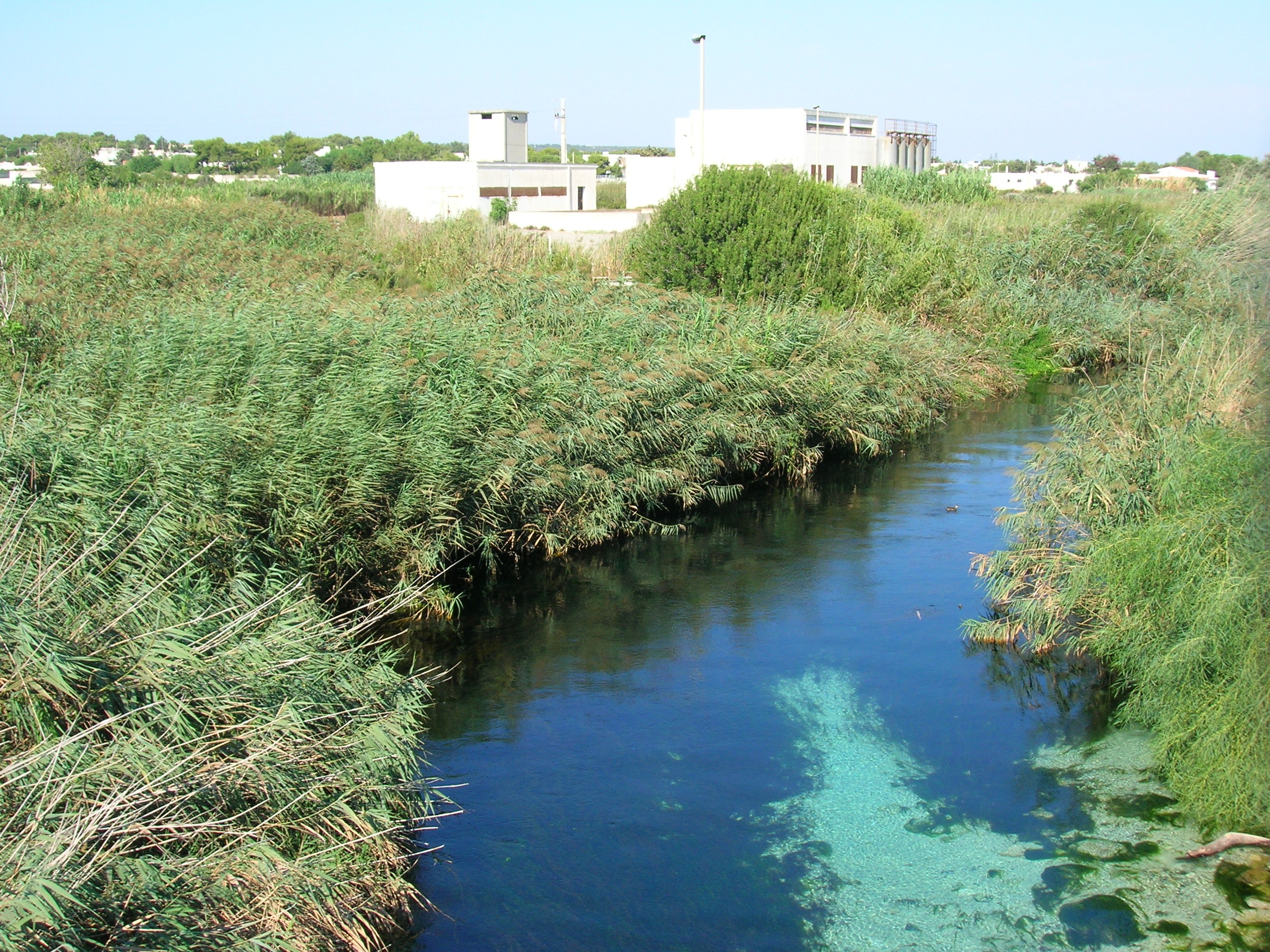 FIUME CHIDRO | I Luoghi del Cuore - FAI