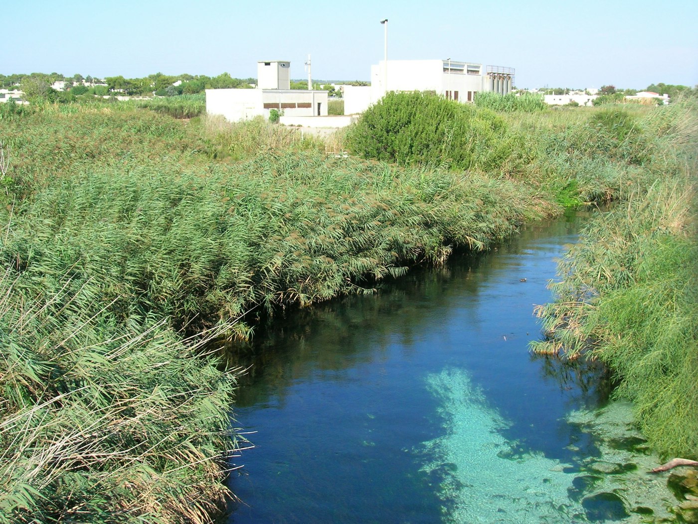 FIUME CHIDRO | I Luoghi del Cuore - FAI