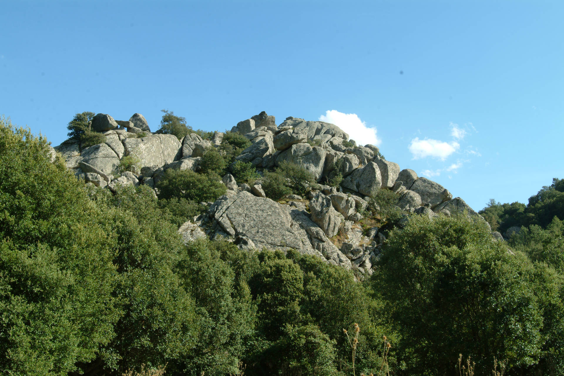 MONTE DI SAN BASILIO | I Luoghi del Cuore - FAI