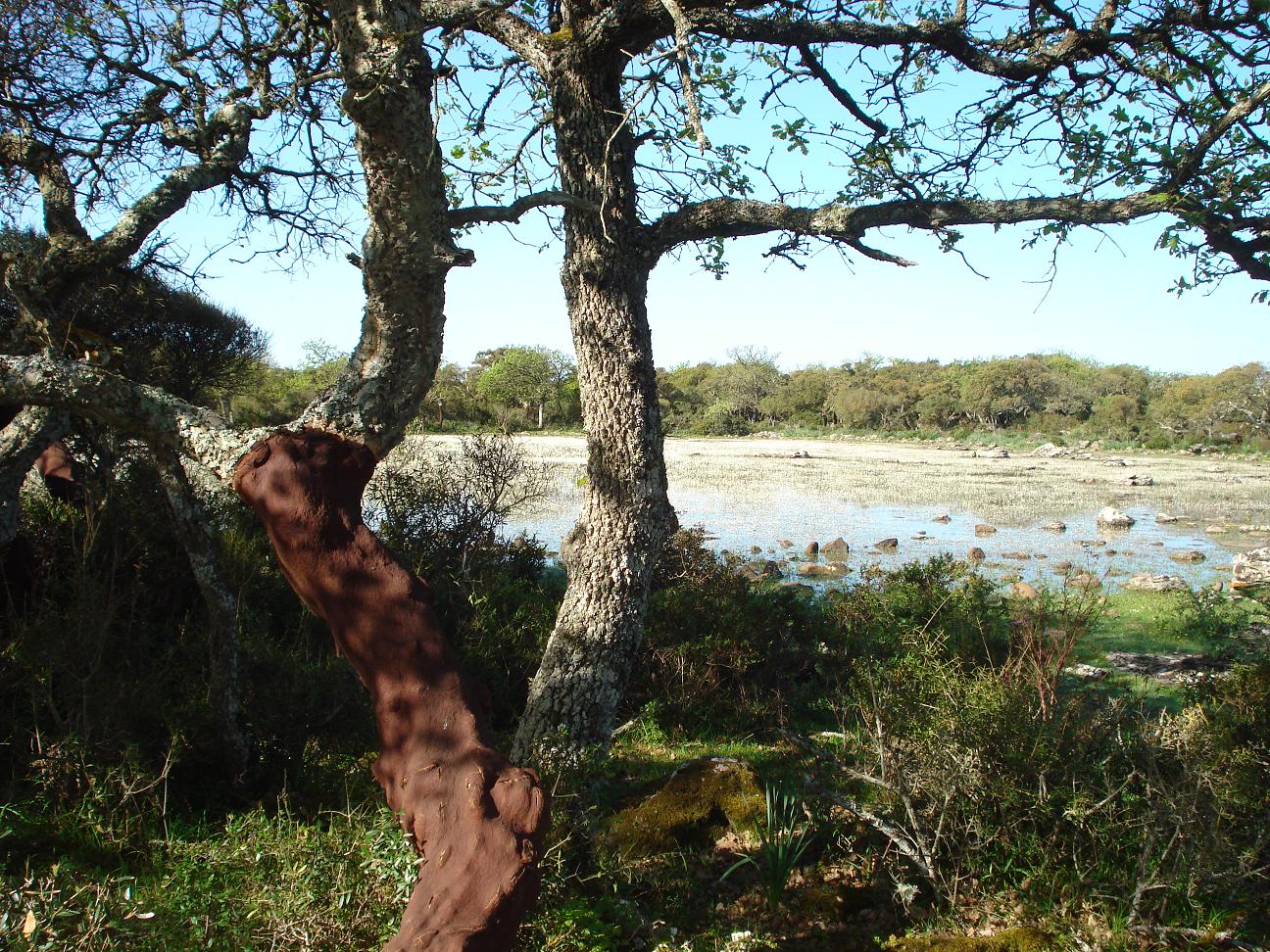 LA GIARA DI TUILI | I Luoghi del Cuore - FAI