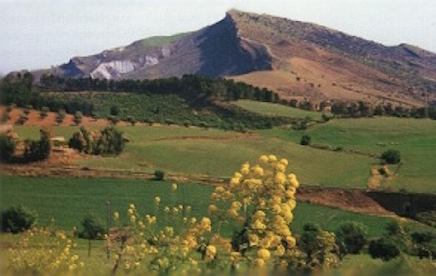 RISERVA NATURALE MONTE CAPODARSO E VALLE DELL'IMERA MERIDIONALE | I ...