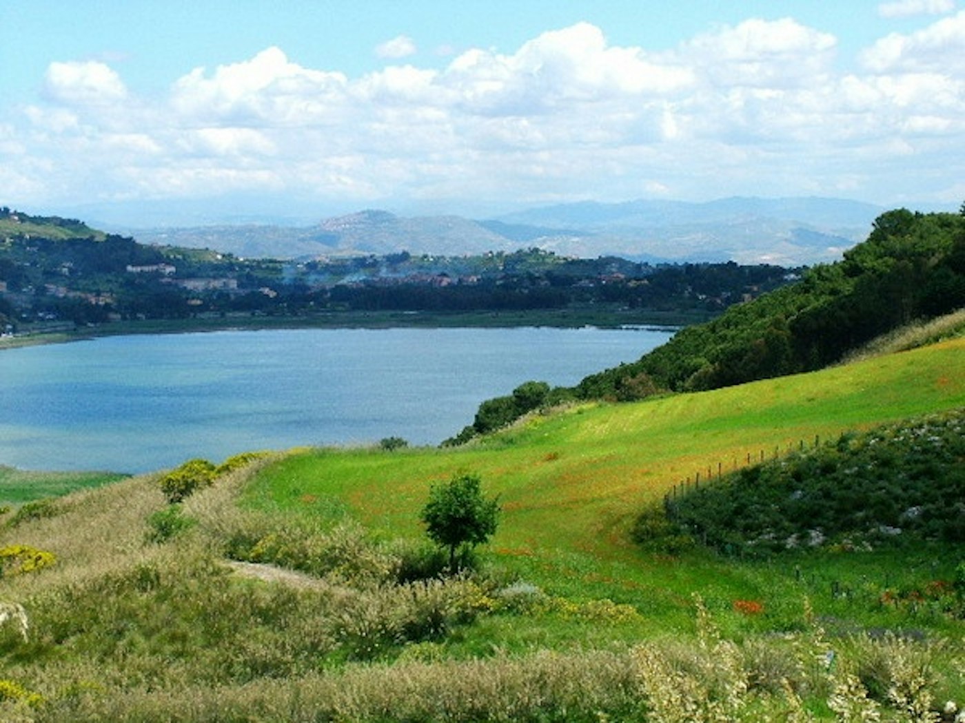 LAGO DI PERGUSA | I Luoghi del Cuore - FAI