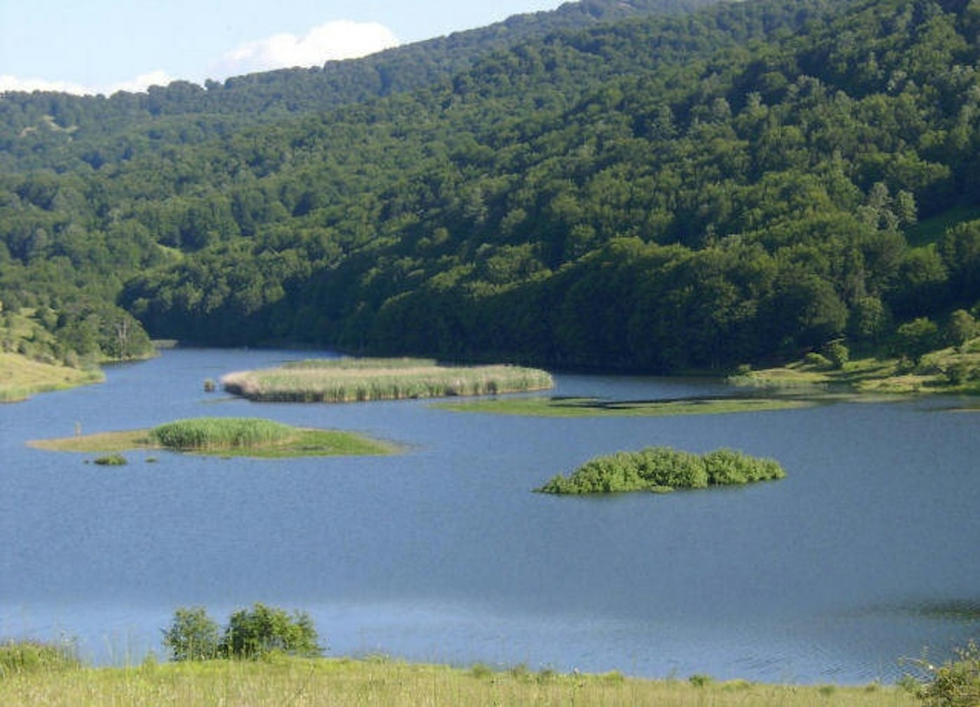 LAGO BIVIERE DI CESARÒ | I Luoghi del Cuore - FAI