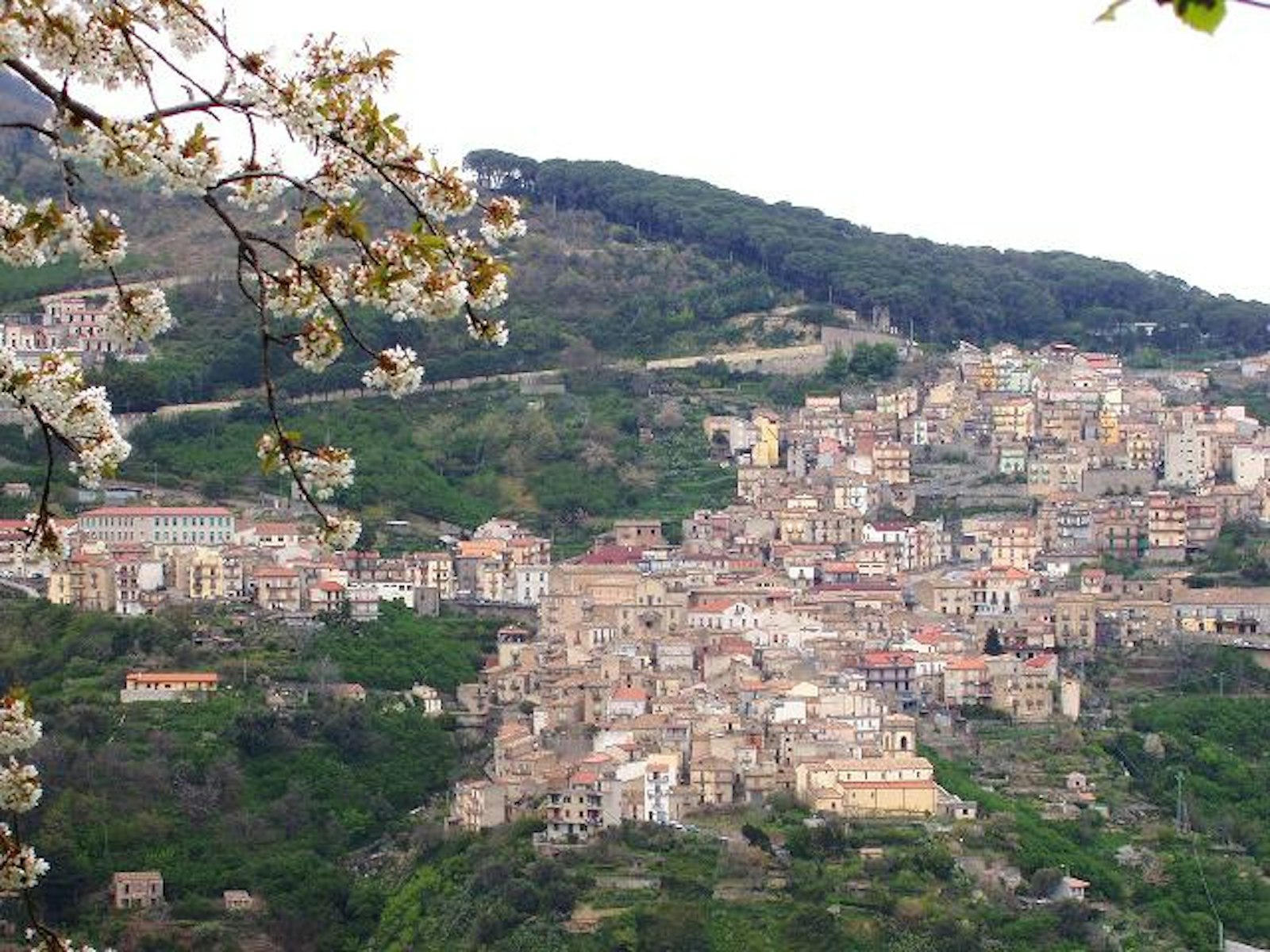 UCRIA PAESE | I Luoghi del Cuore - FAI