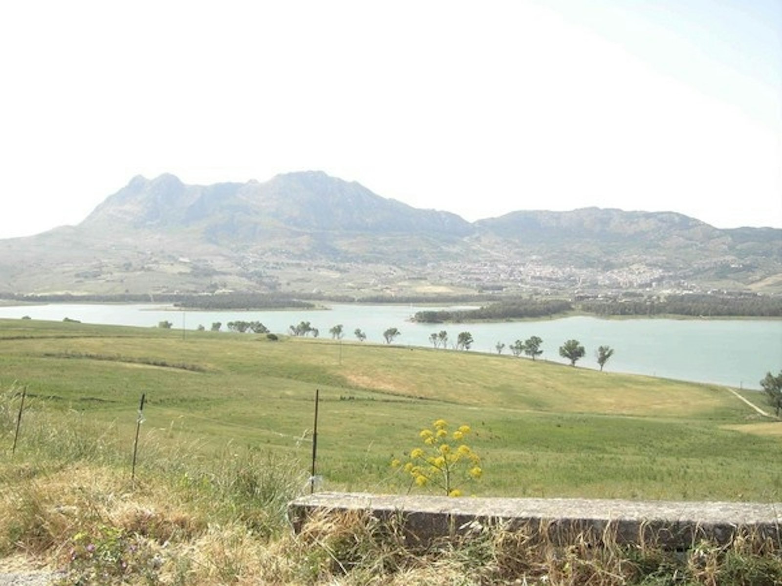 RISERVA NATURALE ORIENTATA BOSCO DELLA FICUZZA | I Luoghi del Cuore - FAI