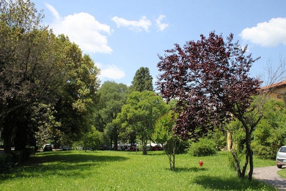 PARCO E VILLA DI RUSCIANO | I Luoghi del Cuore - FAI