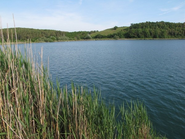 LAGO DELL'ACCESA | I Luoghi del Cuore - FAI