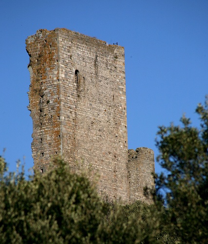 IL FORTE DI MARINA DI DONORATICO | I Luoghi del Cuore - FAI