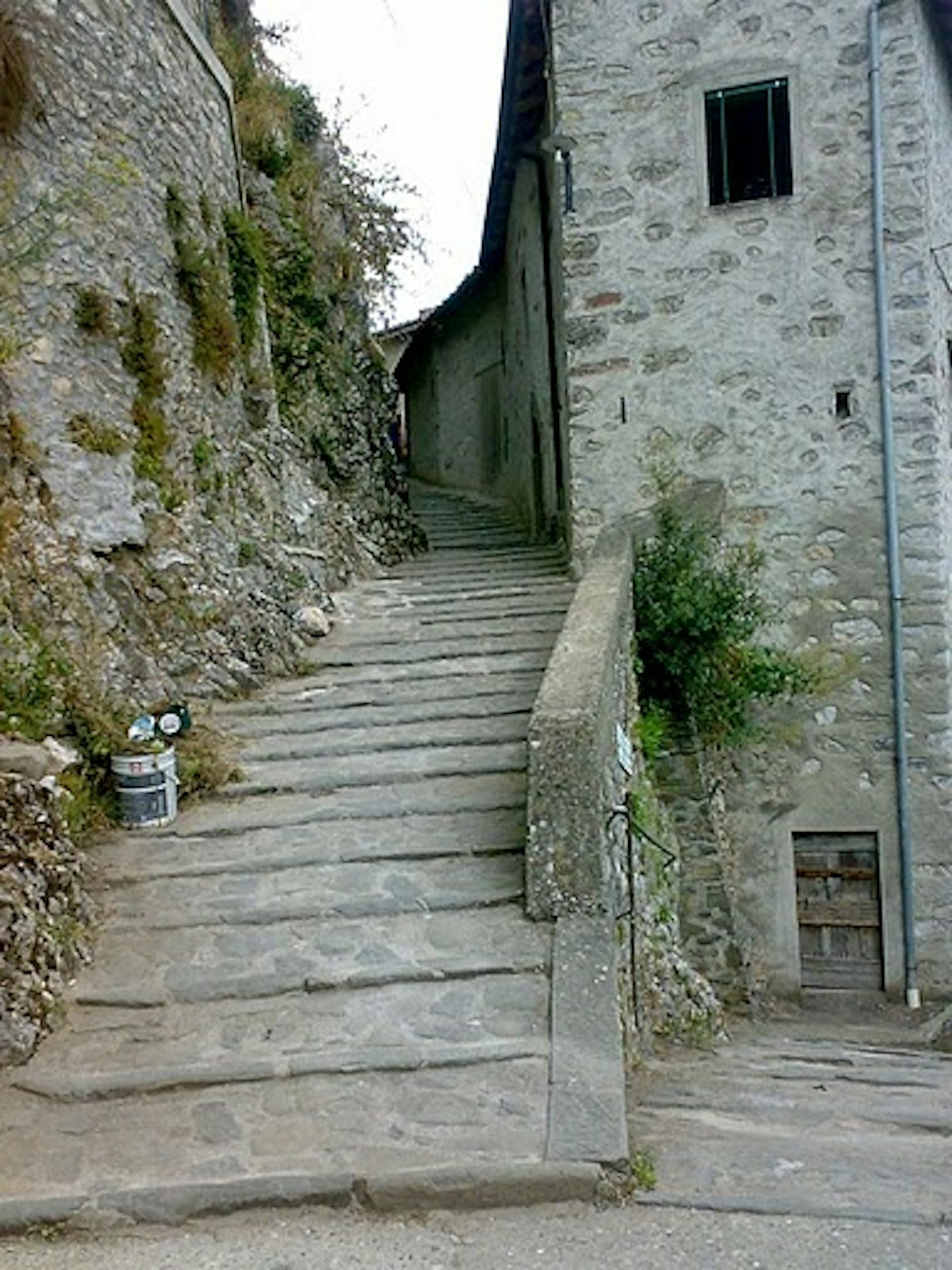 LUCCHIO | I Luoghi del Cuore - FAI