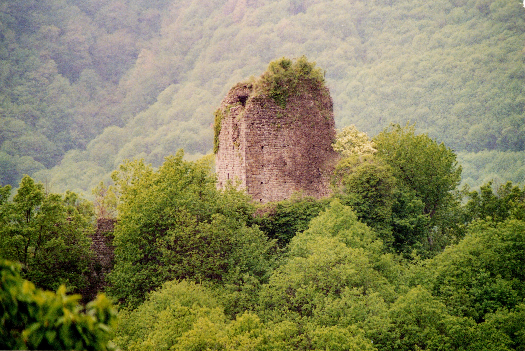 CASTELLO DI GRONDOLA | I Luoghi del Cuore - FAI