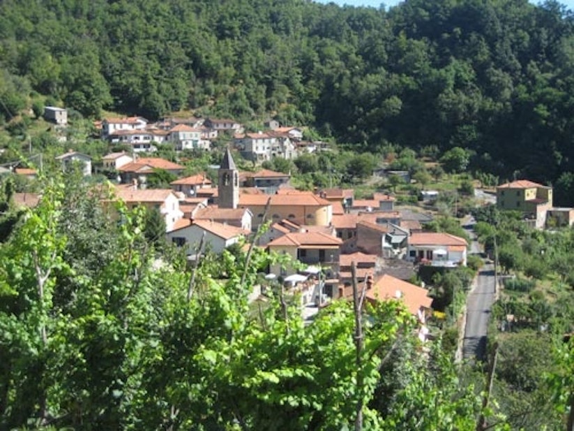 CASTELLO DI GRONDOLA | I Luoghi del Cuore - FAI