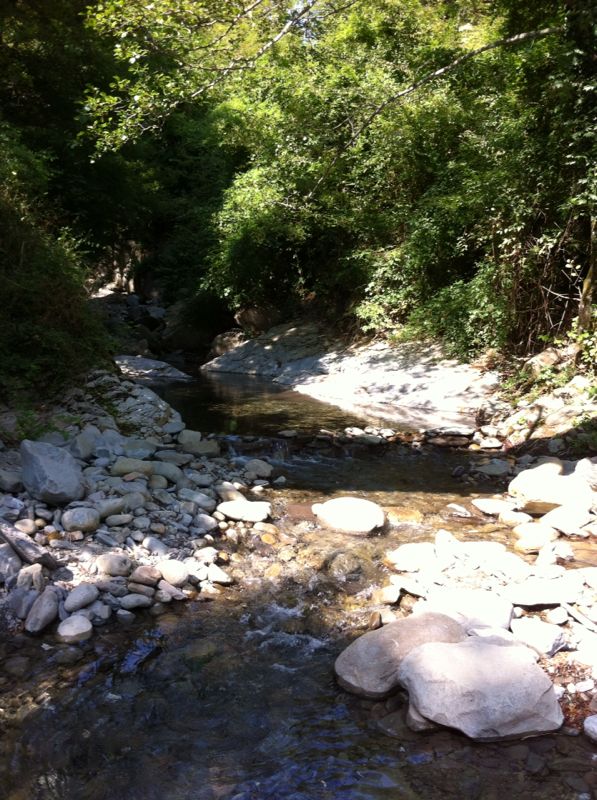 TORRENTE A MONTE DI VICO VALLE | I Luoghi del Cuore - FAI