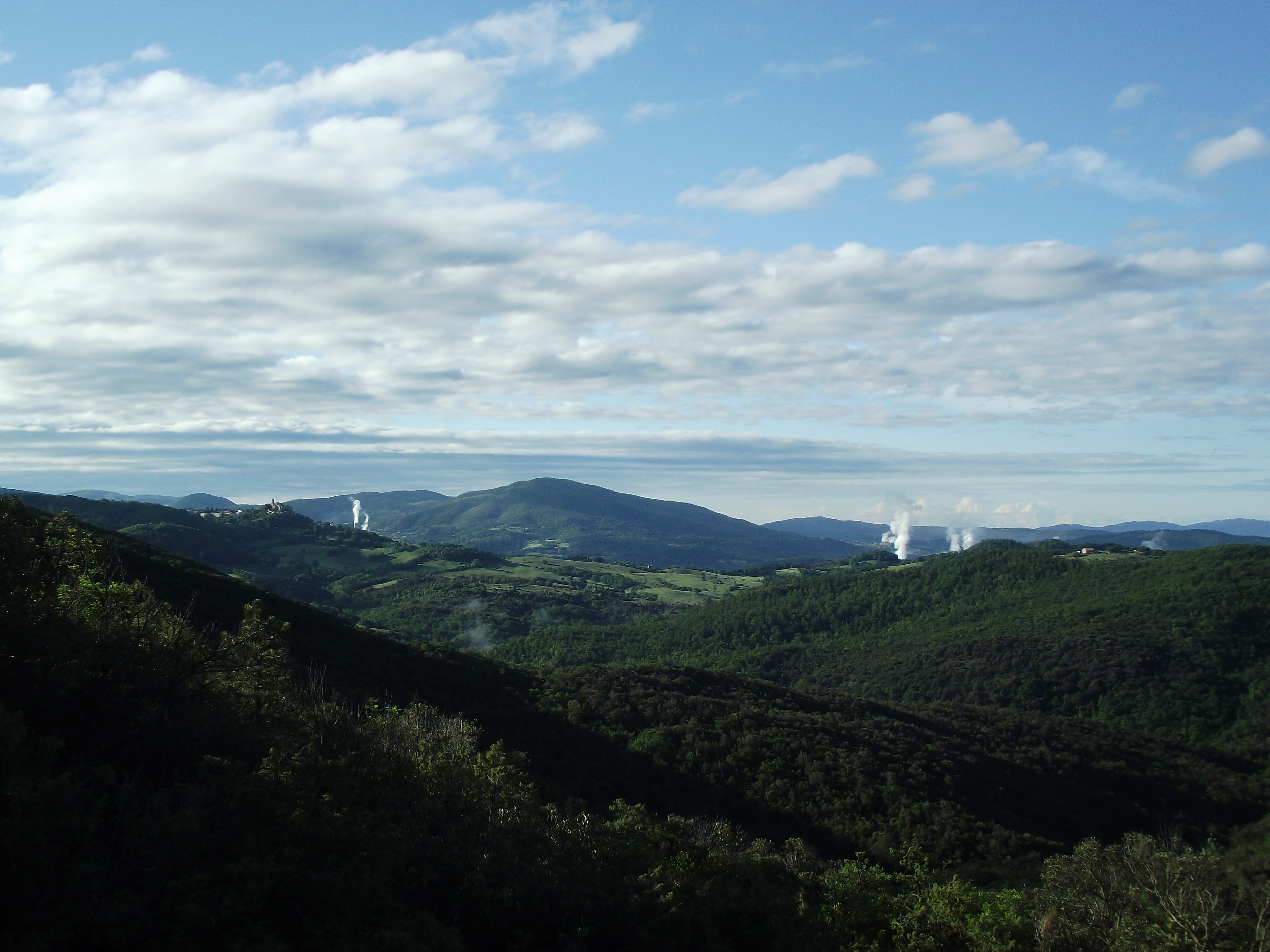 FORESTA DI MONTERUFOLI (LIBBIANO MICCIANO SERRAZZANO CANNETO) | I ...