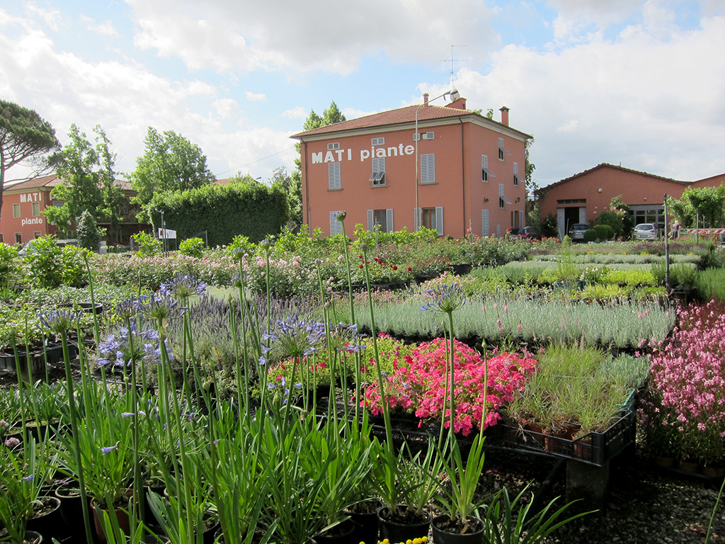 MATI 1909 - VIVAISMO E CULTURA DEL VERDE | Giornate FAI