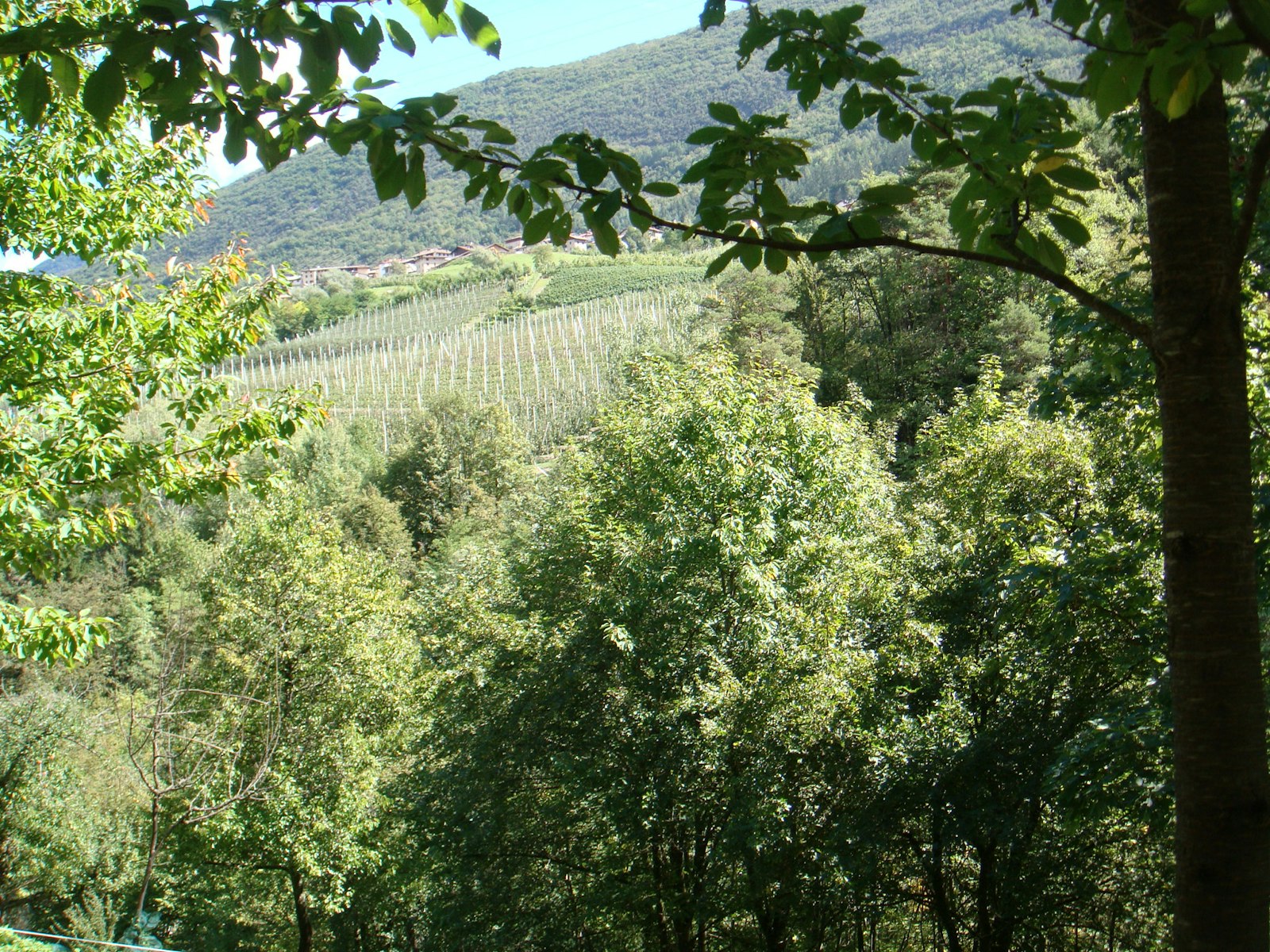 MASO FRATTON VALAJA | Bene FAI