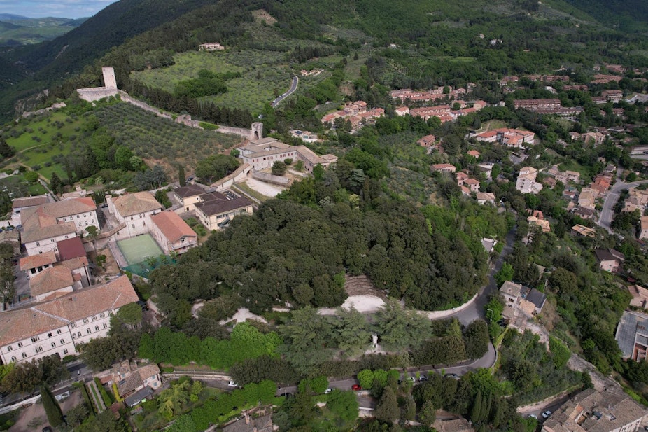 PARCO PINETA SACCHETTI | I Luoghi del Cuore - FAI