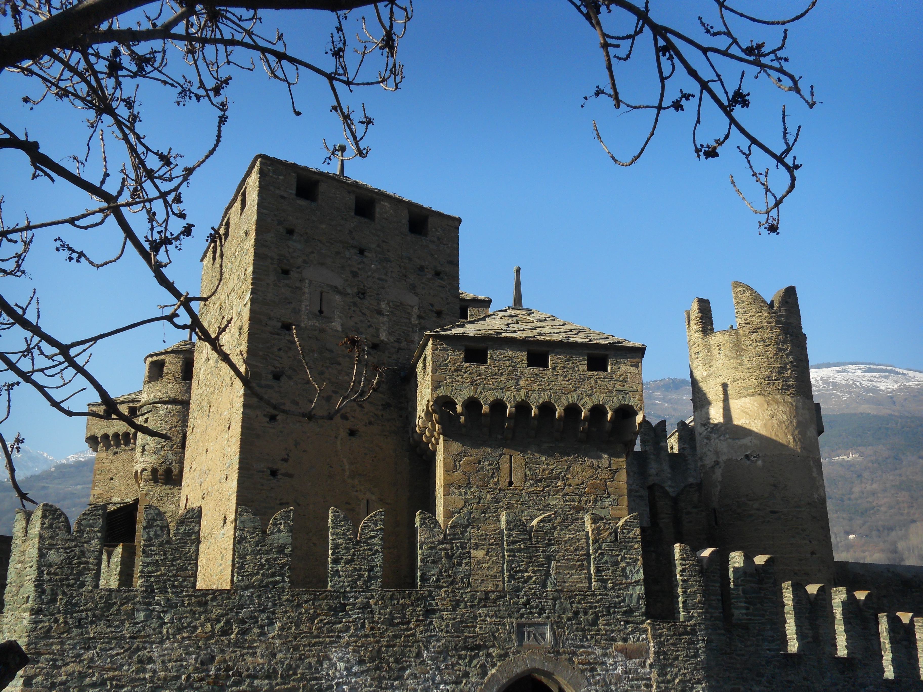 CASTELLO DI FÉNIS | I Luoghi del Cuore - FAI
