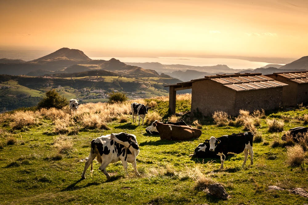 PARCO NATURALE DELLA LESSINIA | I Luoghi del Cuore - FAI