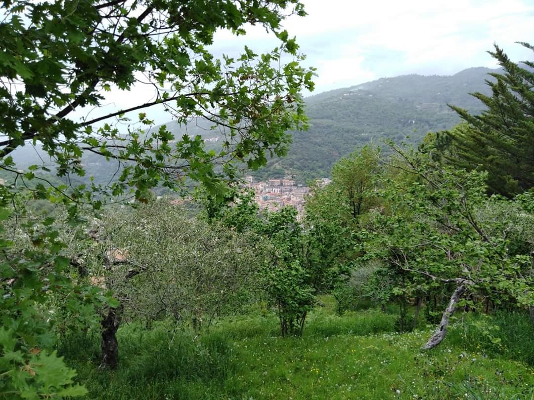 COMUNE DI SINAGRA | Luogo FAI